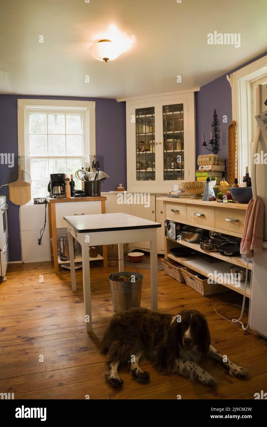 Purple painted country style kitchen and furnishings inside old circa ...