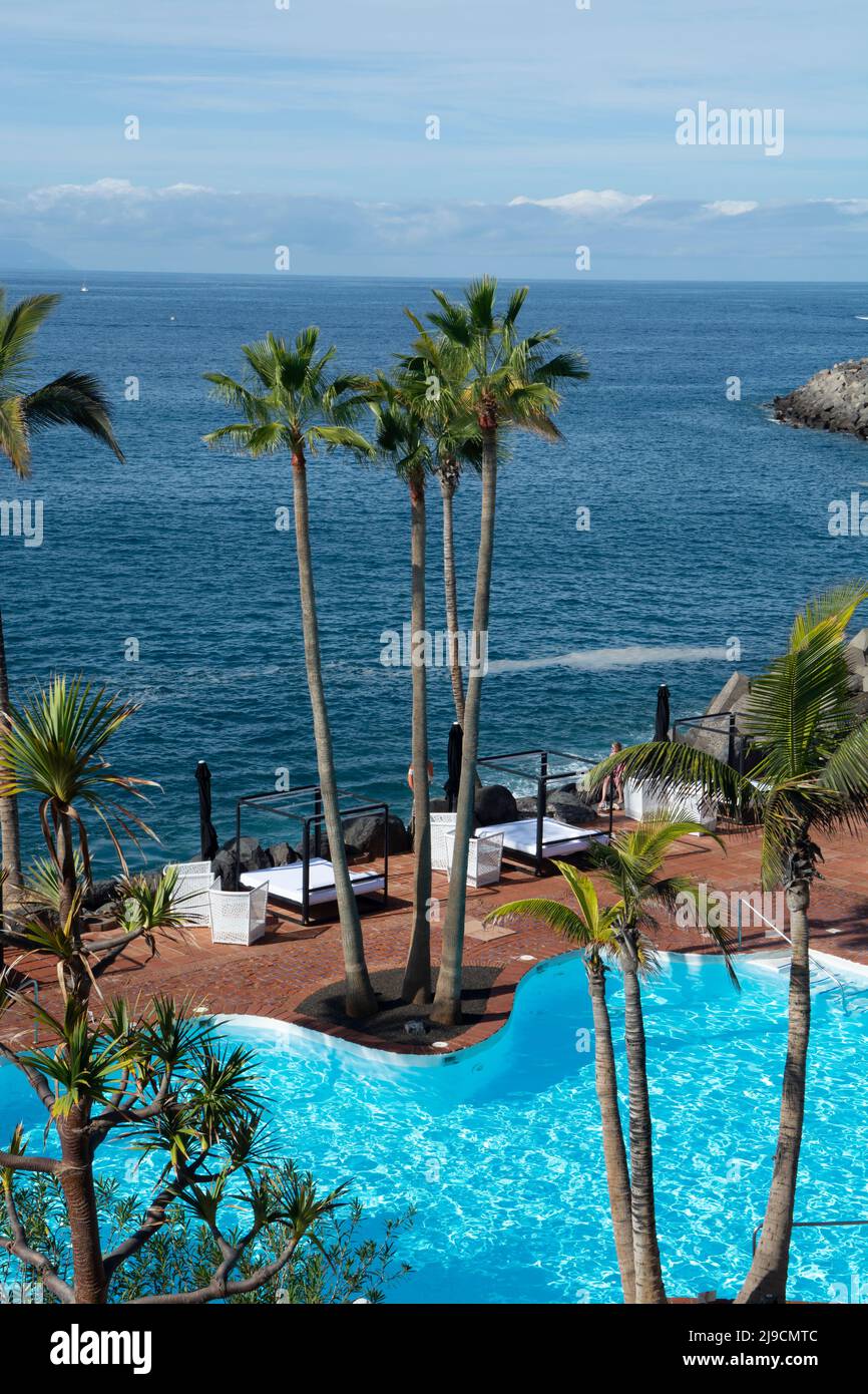 Beach club with blue swimming pool and palm trees on coast of Atlantic ...
