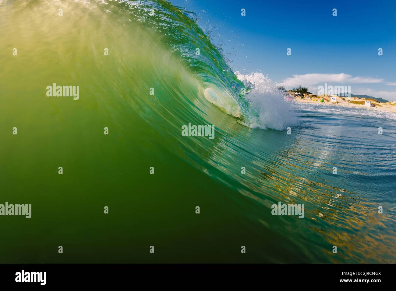 Surfing wave with yellow and green tones in ocean. Glassy barrel wave ...
