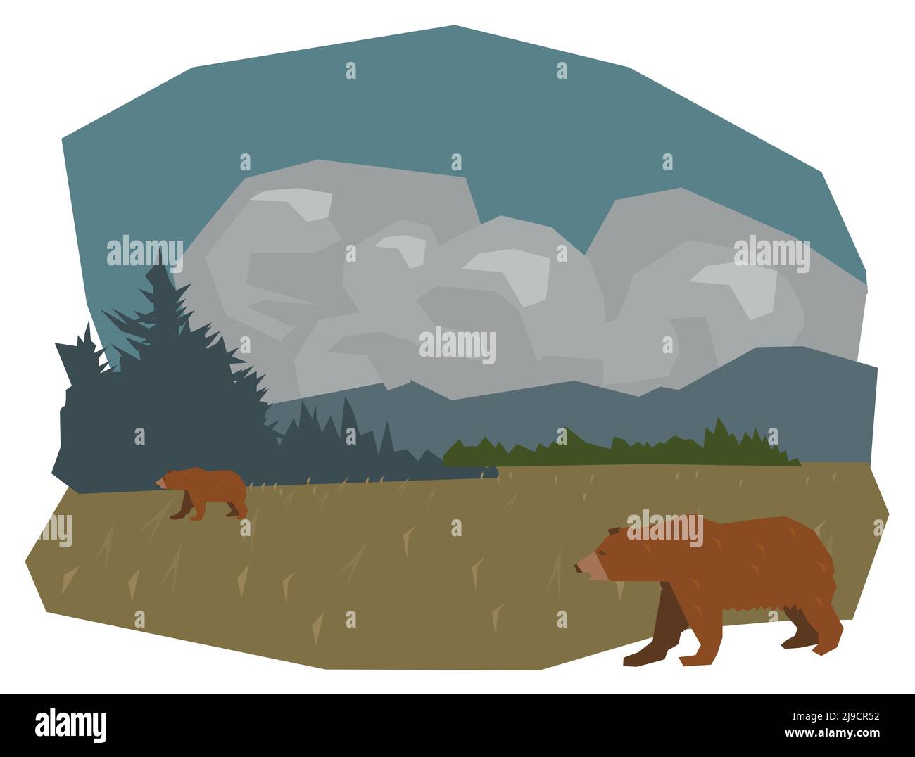 Wild bears vector illustration Stock Vector Image & Art - Alamy