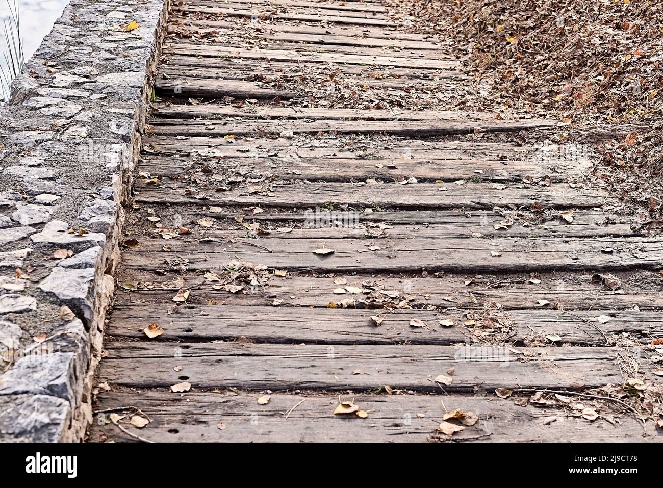 Old wooden planks with a hole of a road, symmetry, front view, autumn ...