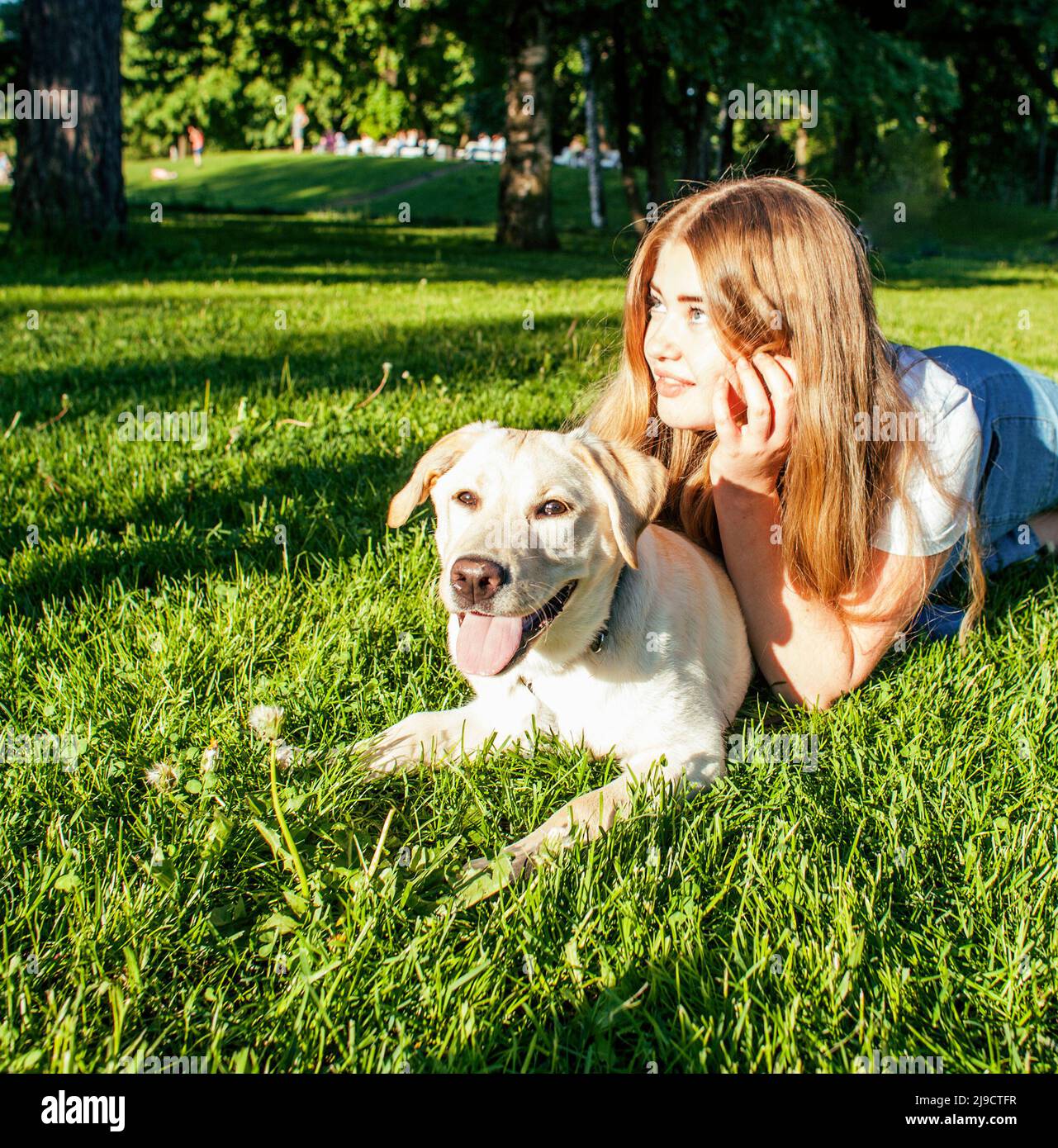 young attractive blond woman playing with her dog in green park at ...