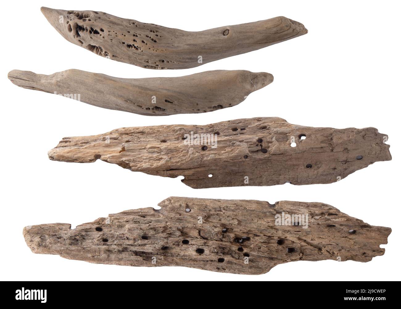 Set of driftwood isolated on white background. Pieces of sea drift wood ...