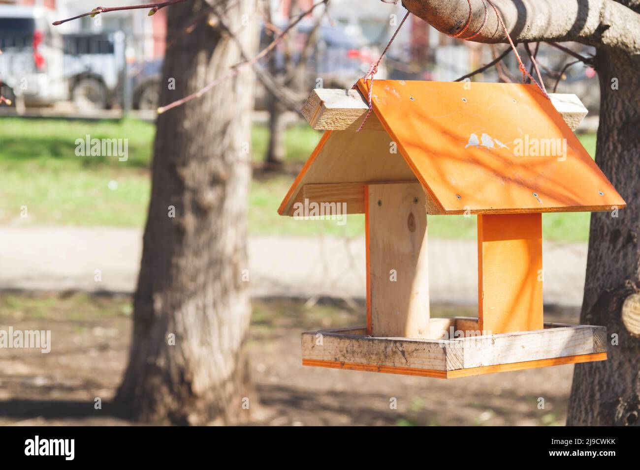 Bird feeders. Feeding birds in the forest. Birdhouse on a tree. Caring ...