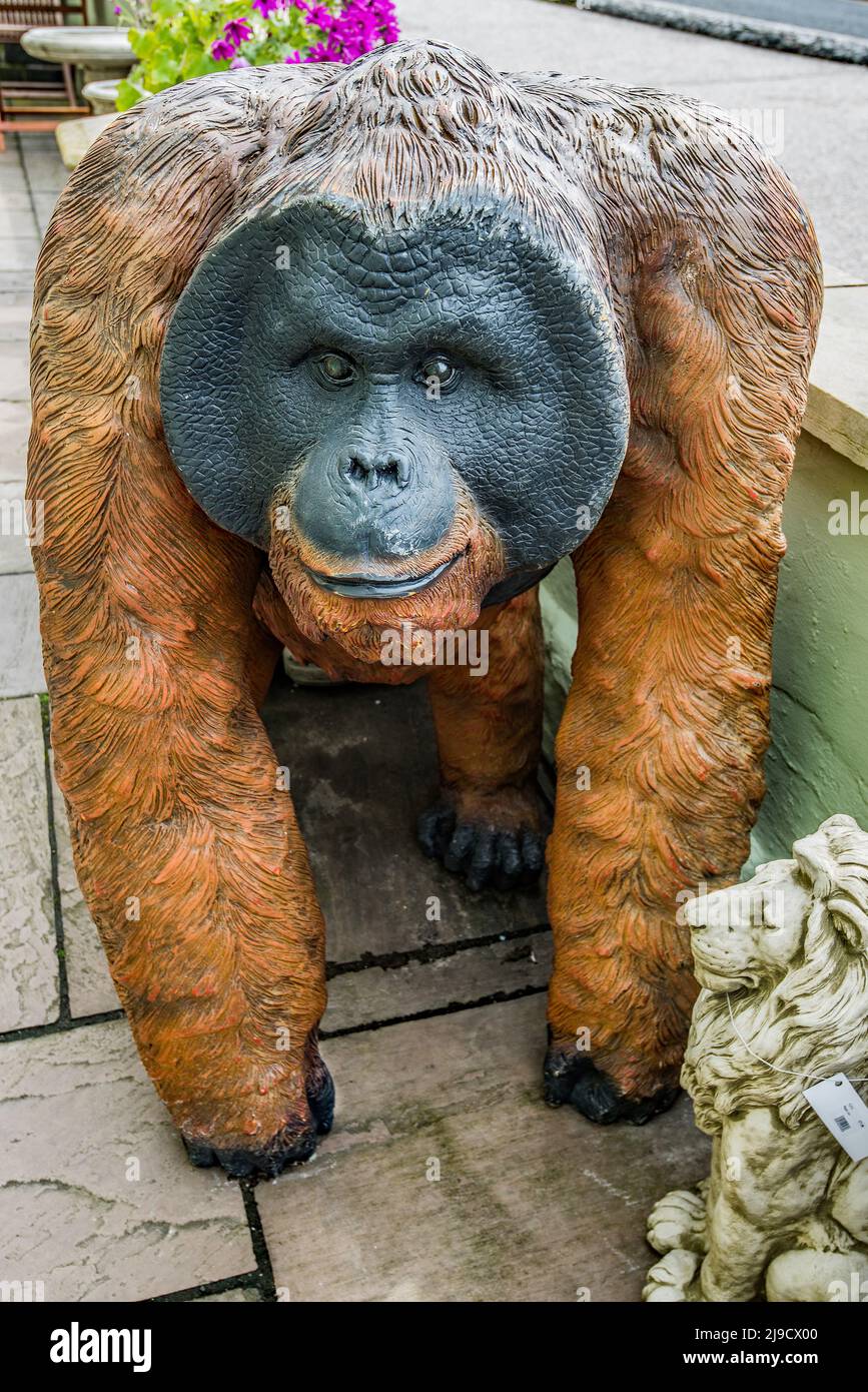 Ape sculpture in a narrow front garden in Picturesque Portpatrick on ...