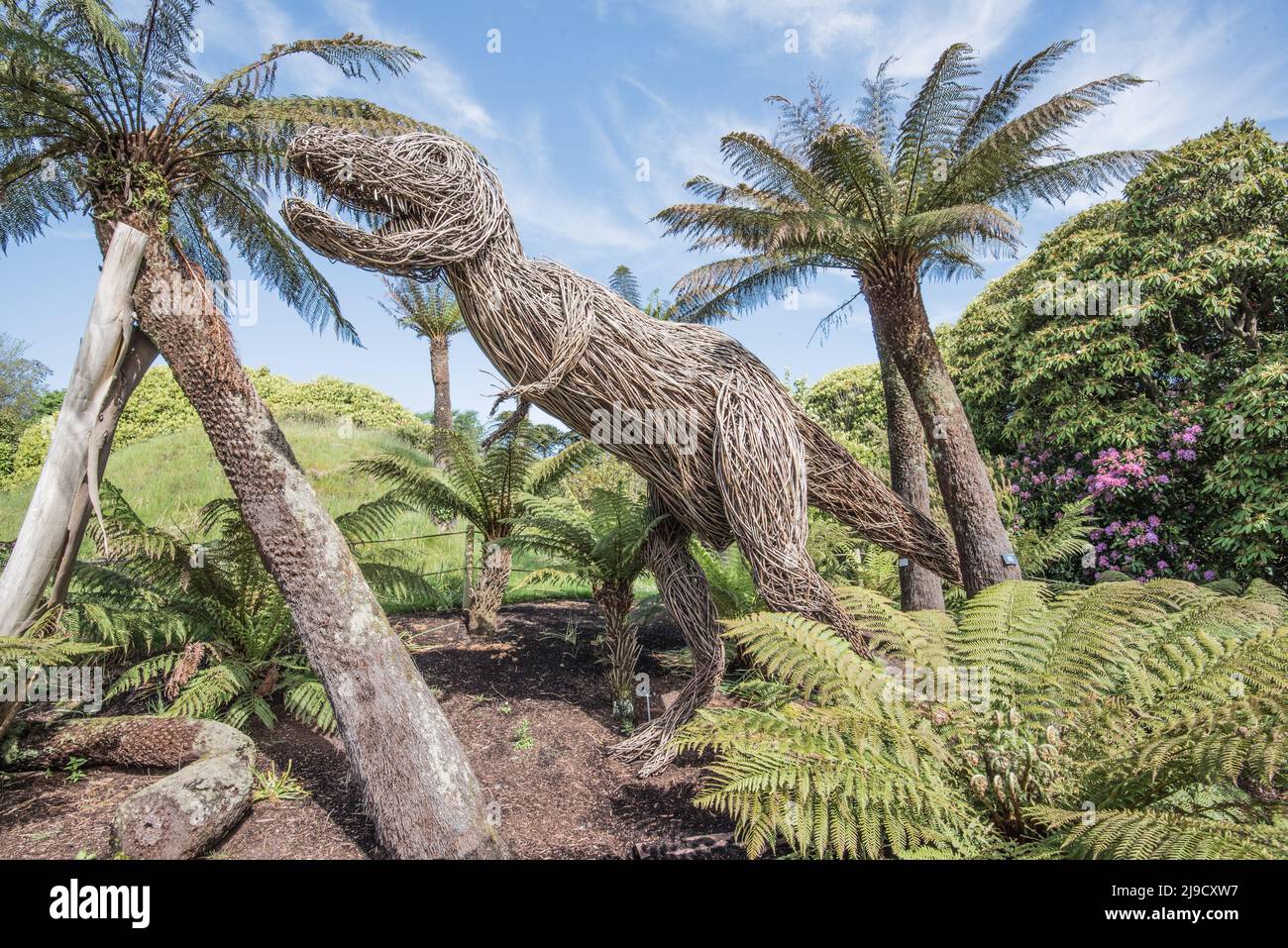 Rexy (the Loganosaurus Rex) at Logan Botanic Garden's exotic sub ...