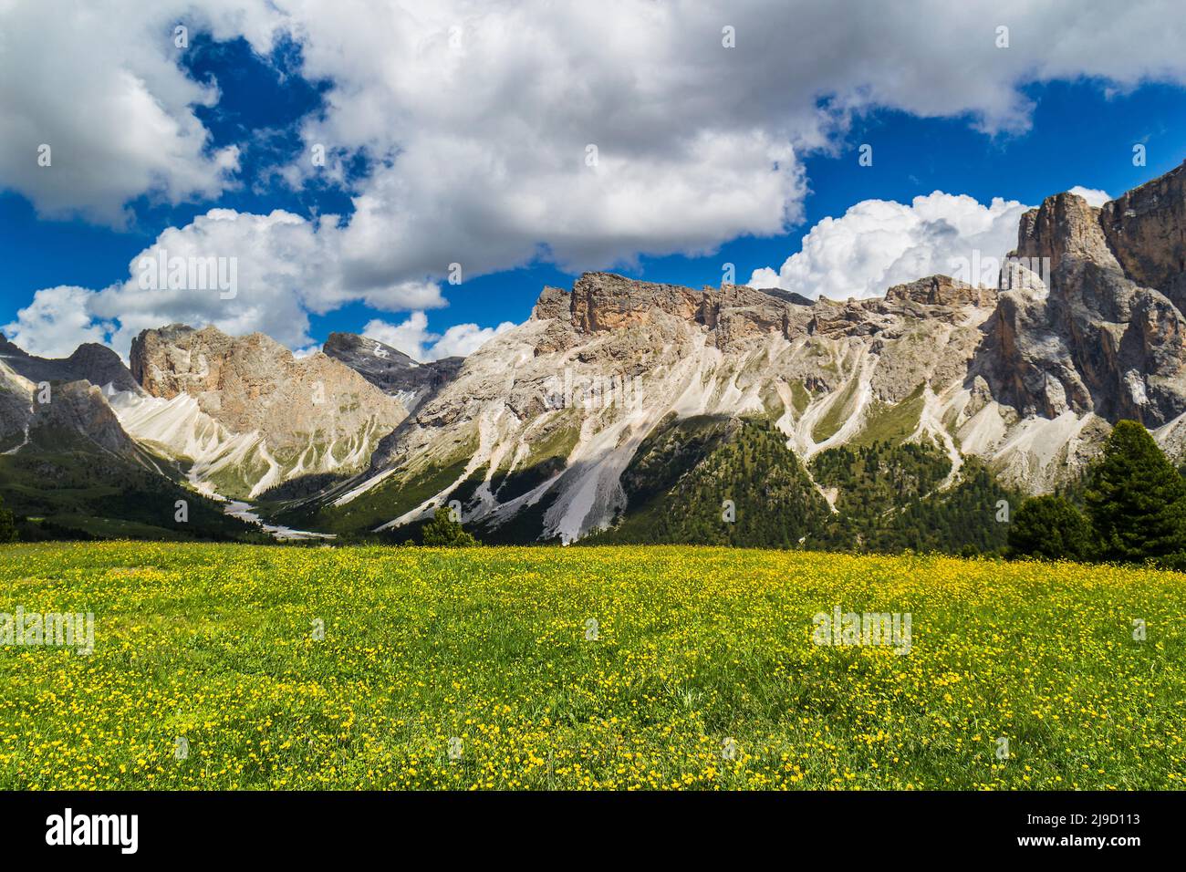 Col raiser hi-res stock photography and images - Alamy