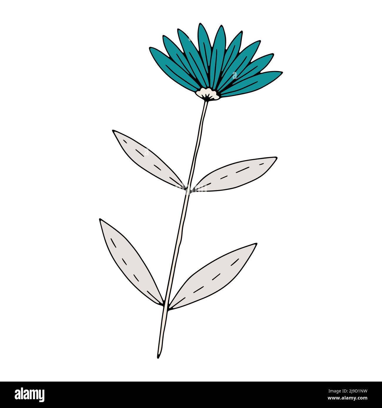 Vector doodle hand drawn flowers and herbal design elements. Line art ...