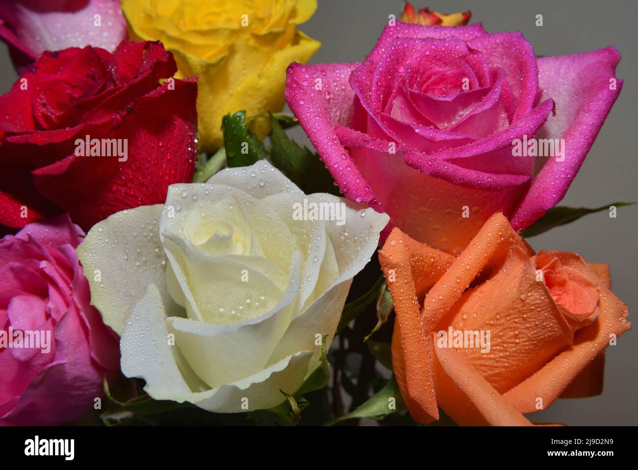 Colourful bouquet hi-res stock photography and images - Alamy