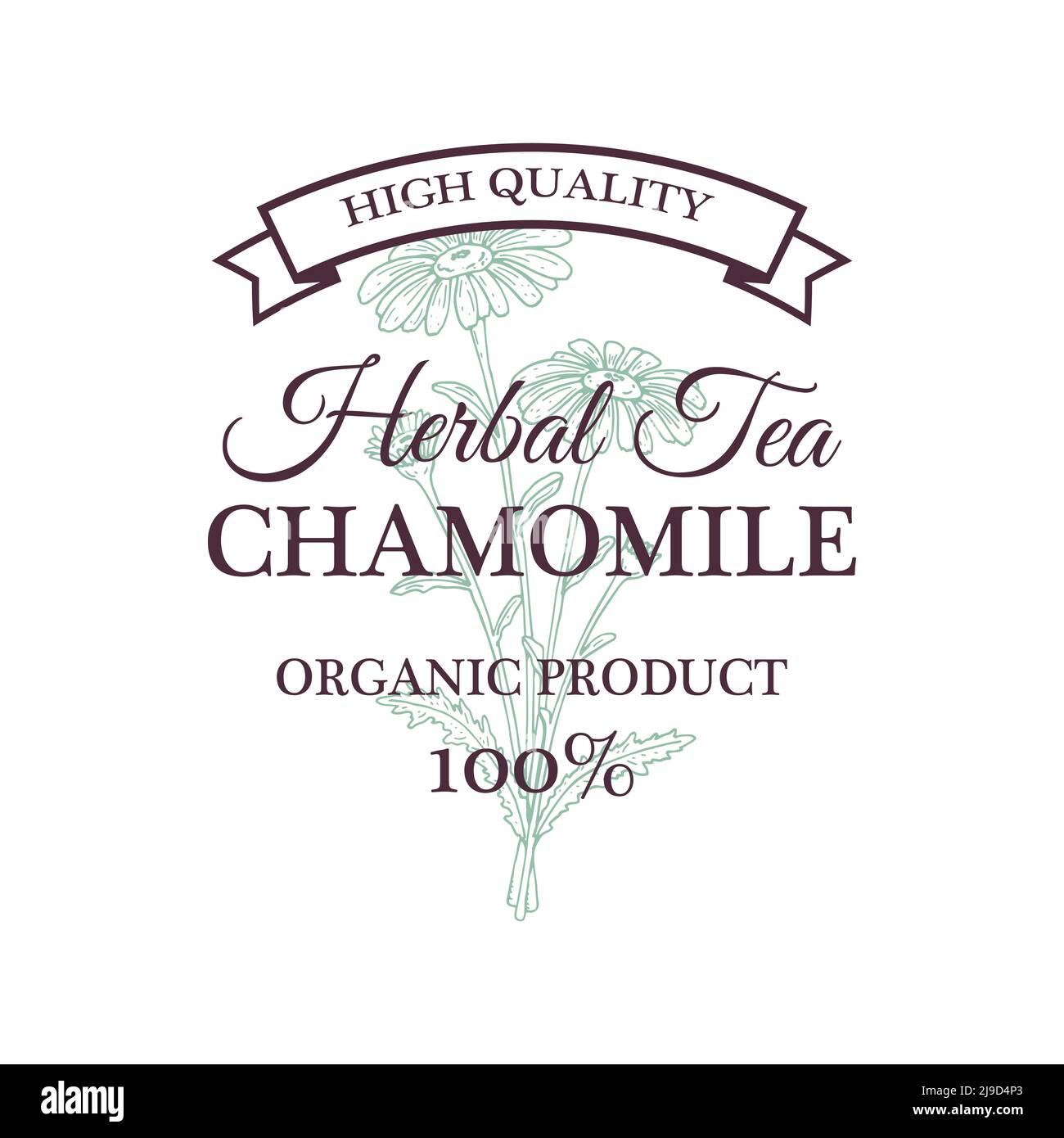 Hand drawn vintage chamomile logo isolated on white. Vector ...