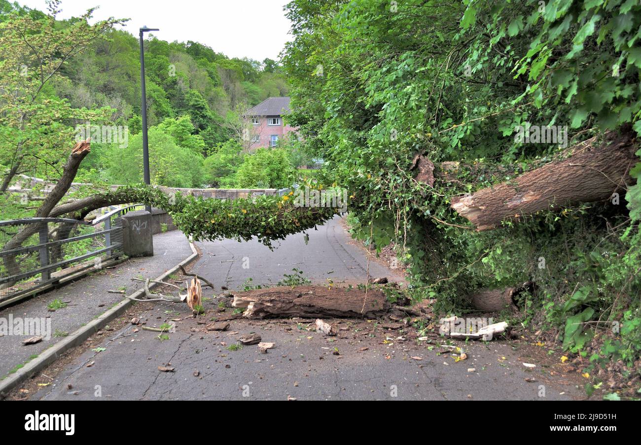 Postaccident hi-res stock photography and images - Alamy