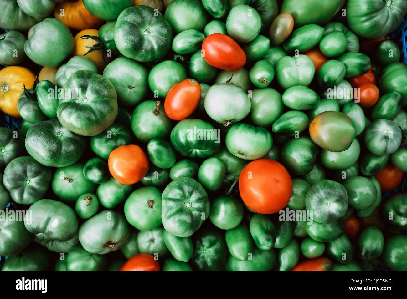 Green ones hi-res stock photography and images - Alamy