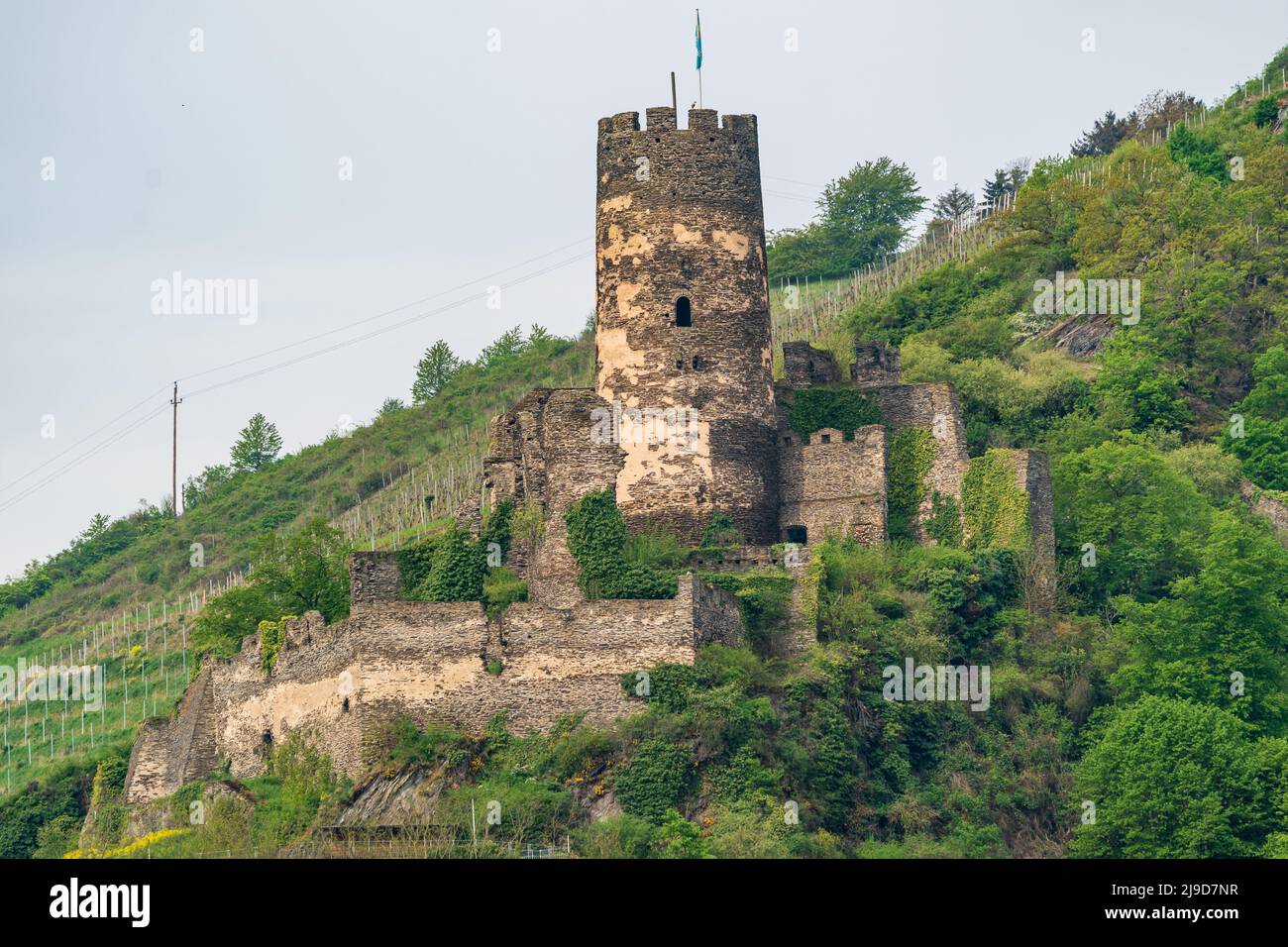 Furstenberg Castle on the Middle Rhine River in Germany Stock Photo - Alamy