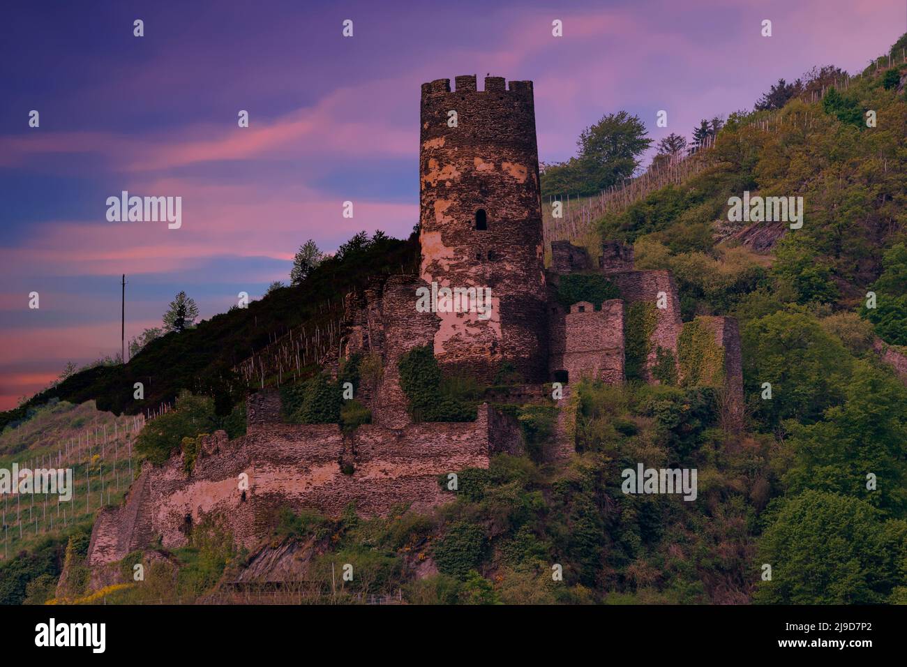 Furstenberg Castle on the Middle Rhine River in Germany Stock Photo - Alamy