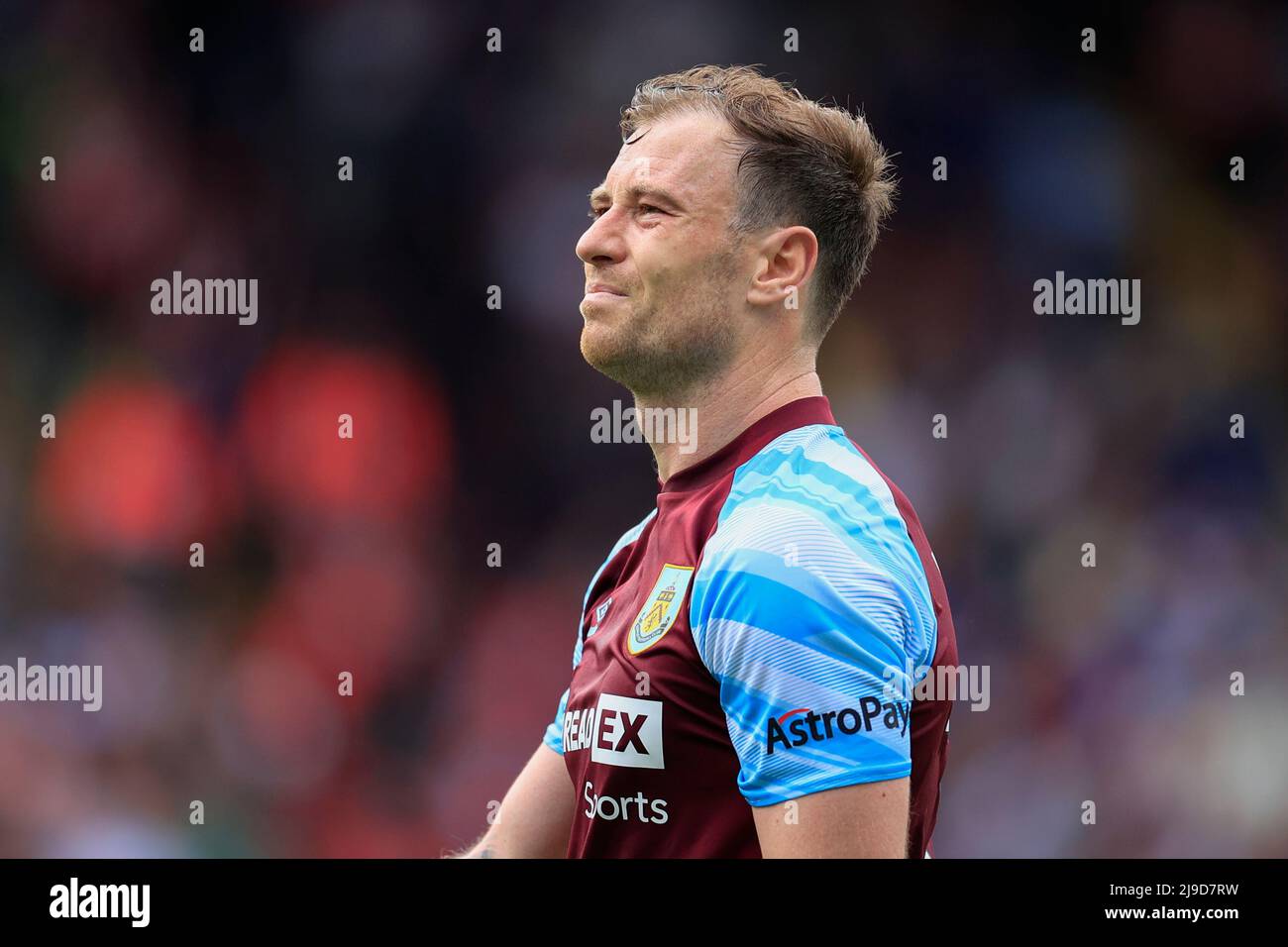 Ashley barnes hi-res stock photography and images - Alamy