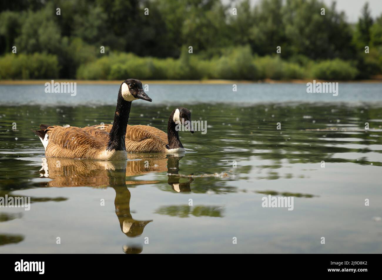 Naturschutzgebieten hi-res stock photography and images - Alamy