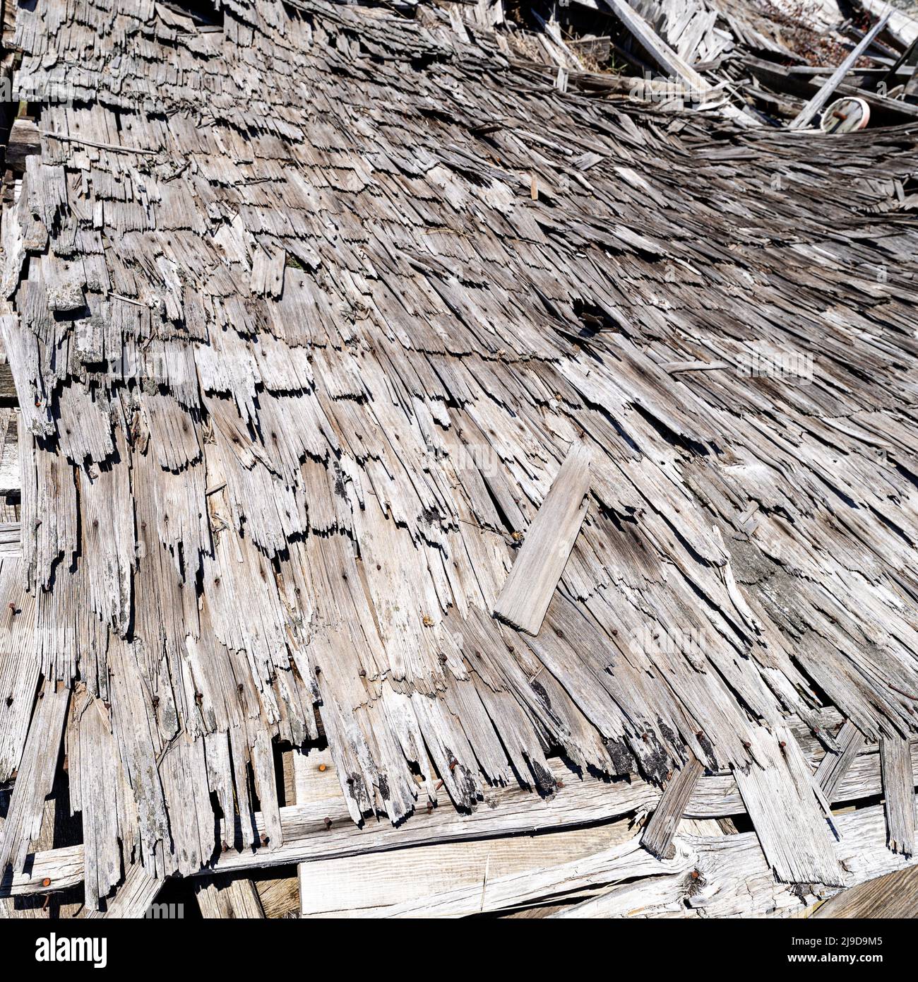 Handmade wooden shingles on a roof od a dilapidated cabin Stock Photo ...