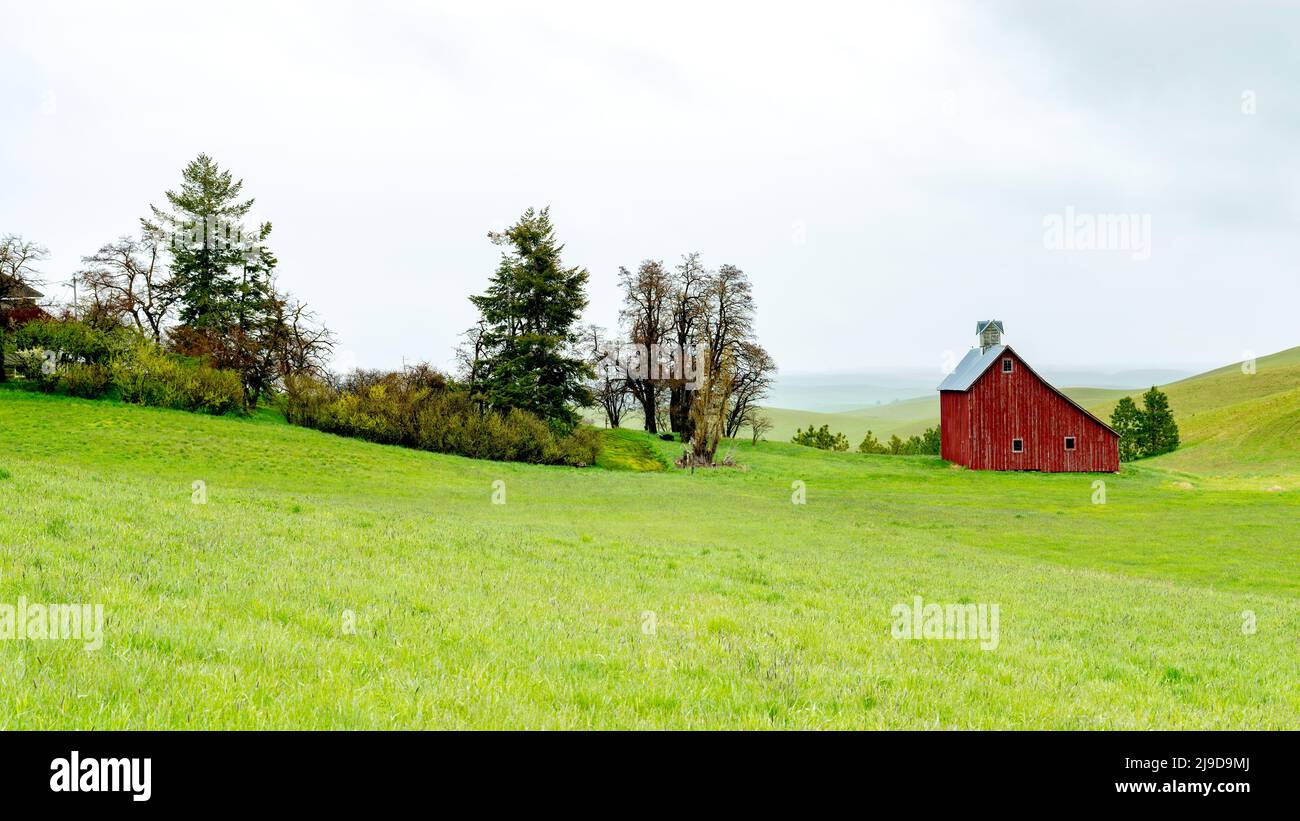 Rain on the rolling hills of the Palouse with a red barn Stock Photo ...
