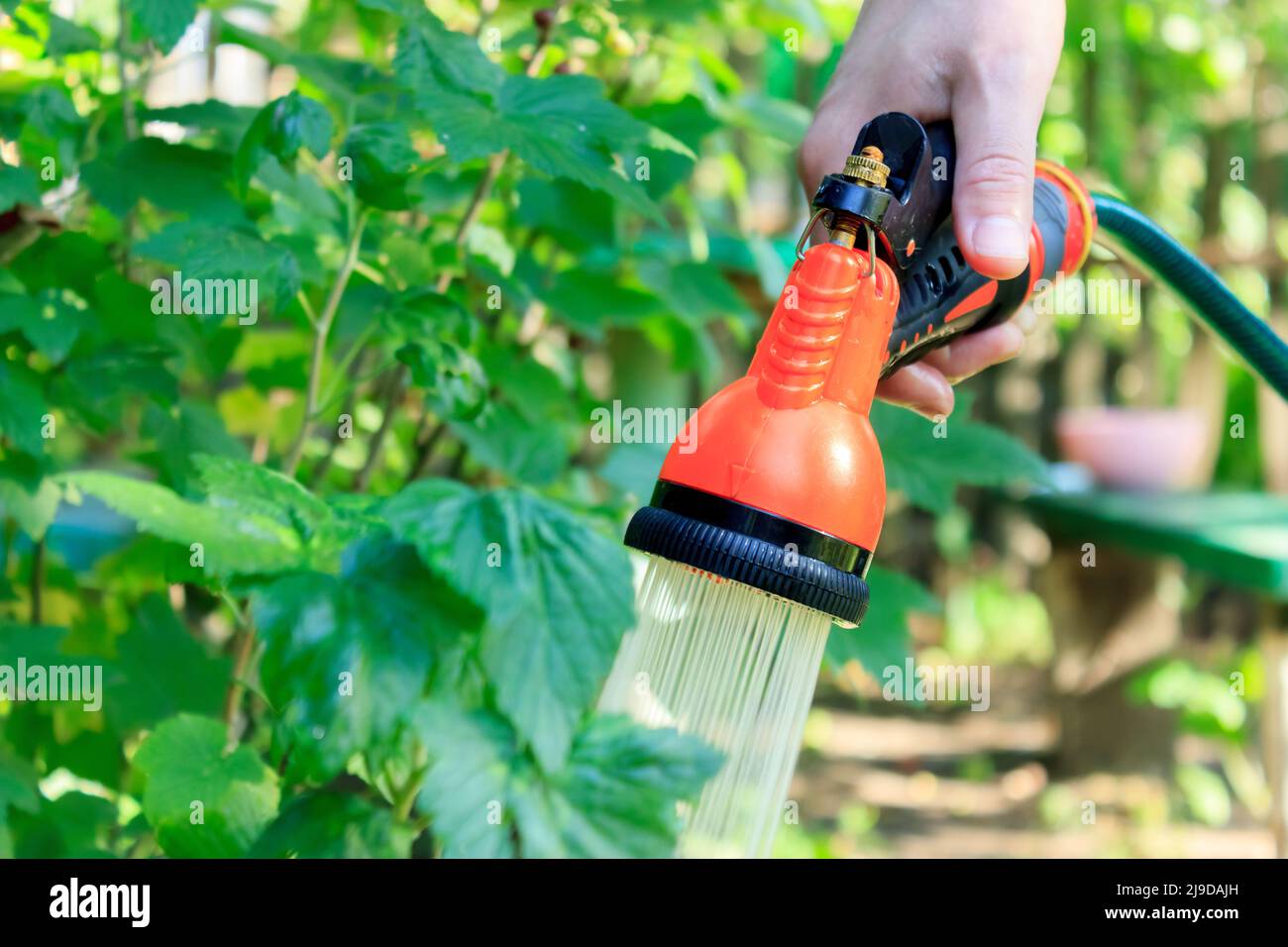 Irrigation process hi-res stock photography and images - Alamy