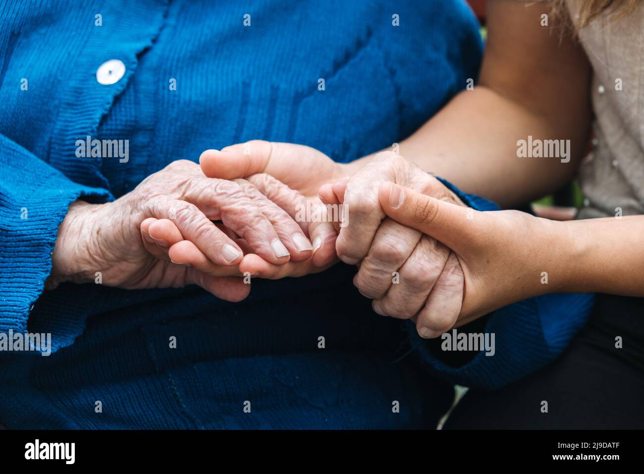 Charities for Elderly People. Young hands holding old elderly senior ...