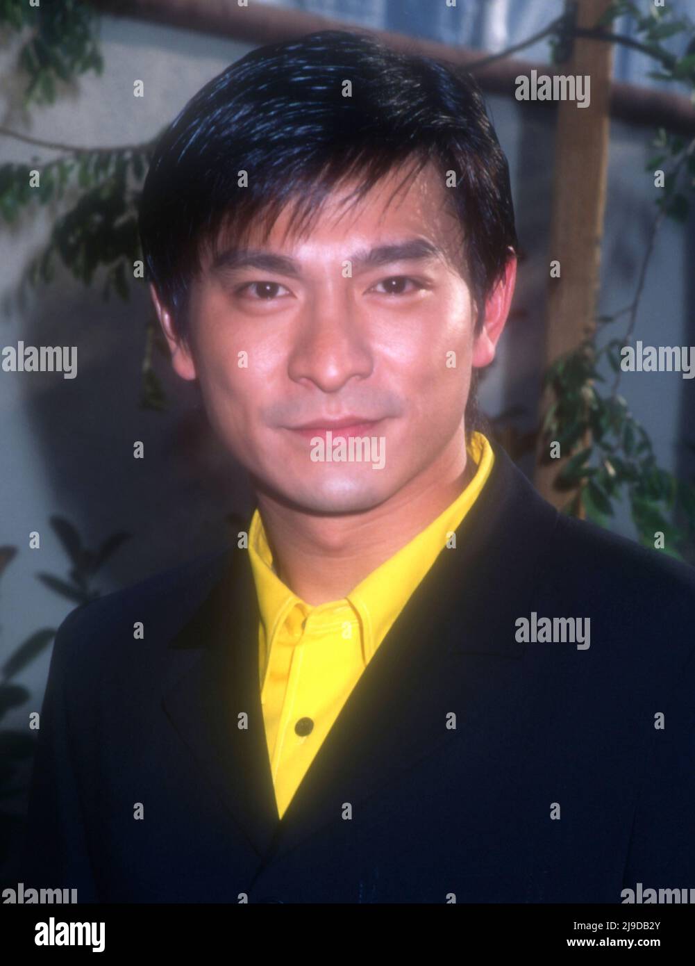 Burbank, California, USA 8th June 1996 Actor Andy Lau attends the Fifth ...