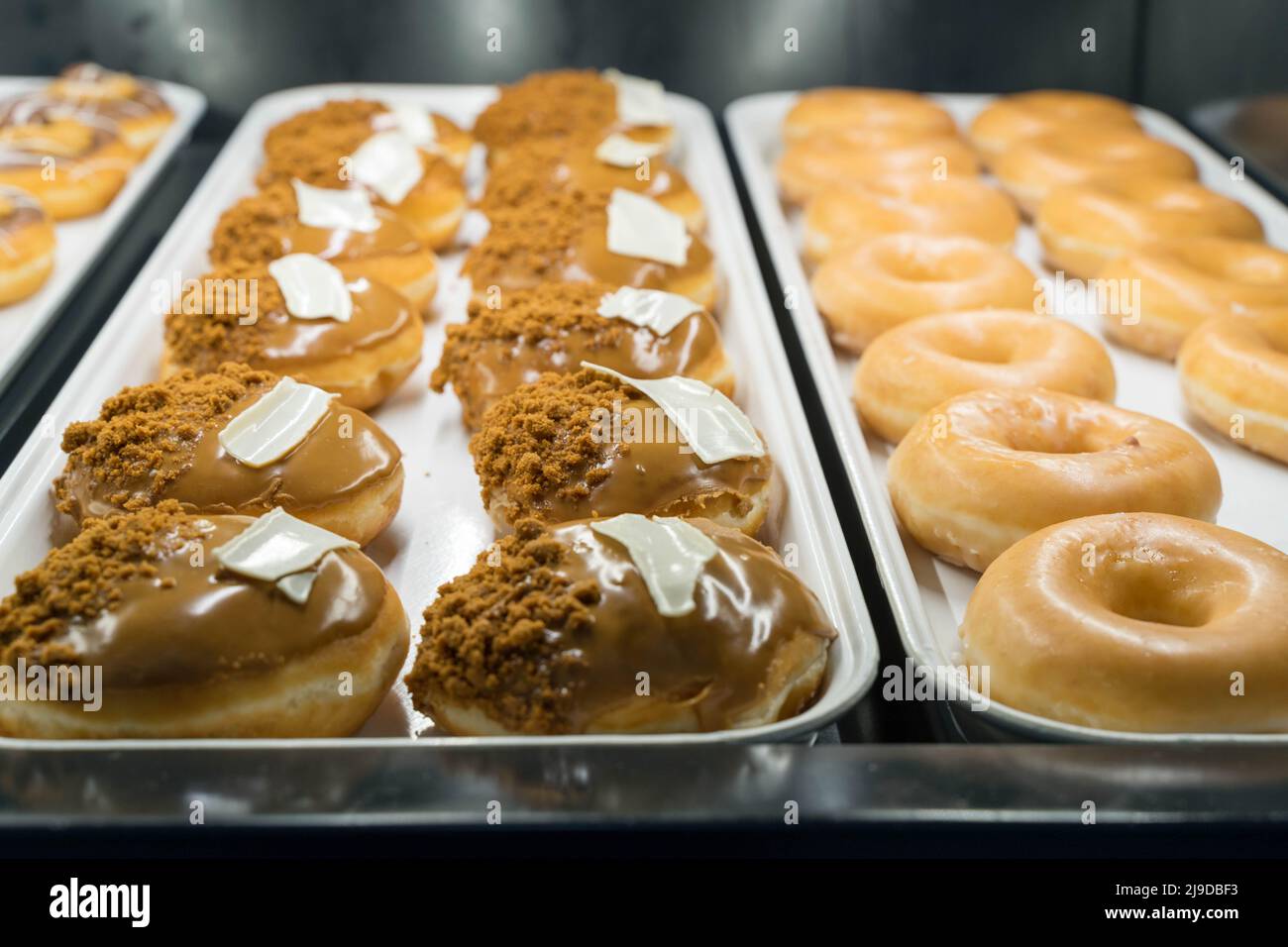 trays of donuts Stock Photo - Alamy