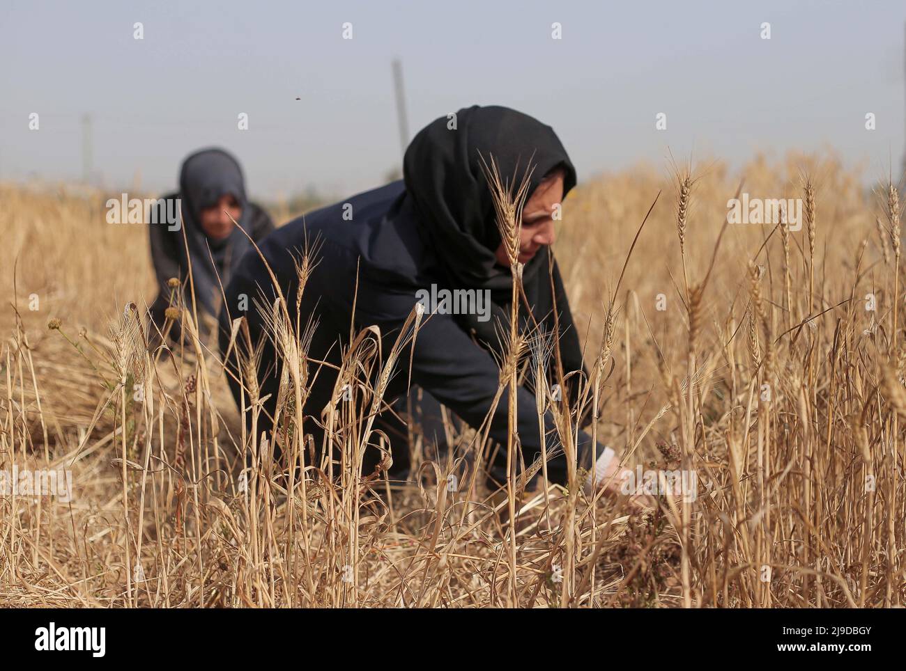 Farmers palestine hi-res stock photography and images - Alamy