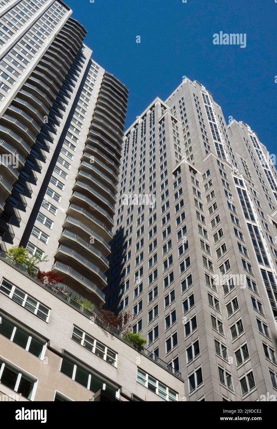 The Conrad is a 5-Star Hotel Located in Midtown Manhattan, 2022, Nyc ...