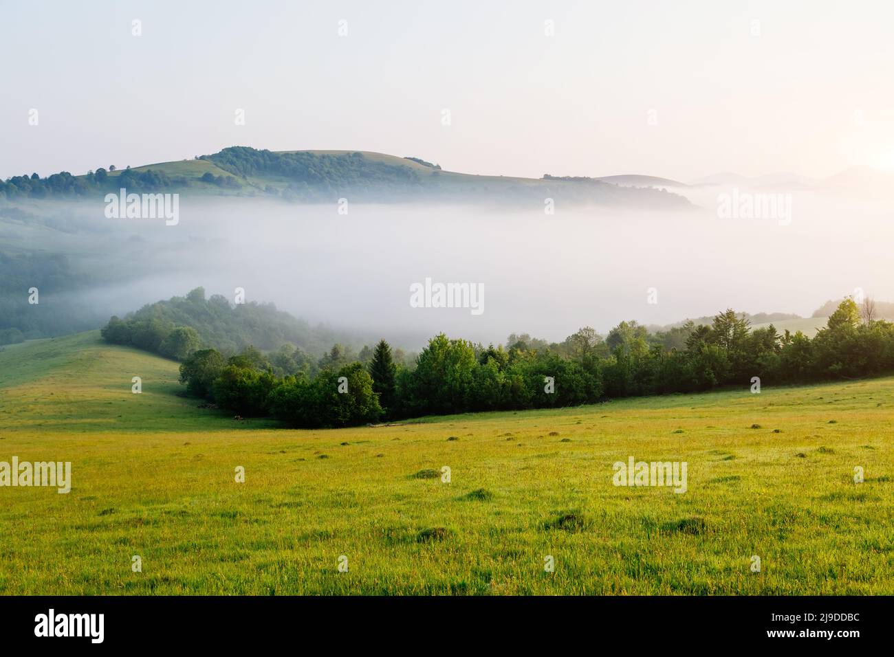 A perfect environment hi-res stock photography and images - Alamy