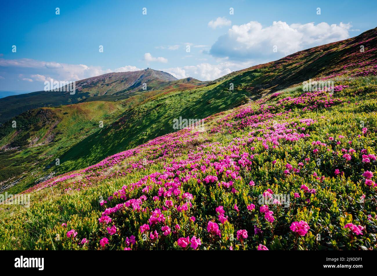 Captivating scene of the alpine valley in sunlight. Picturesque day ...