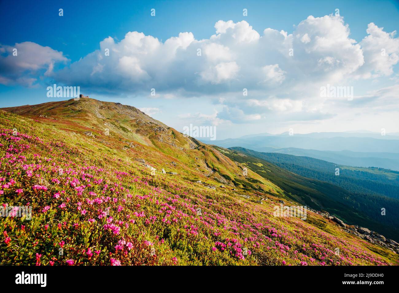Captivating scene of the alpine valley in sunlight. Picturesque day ...