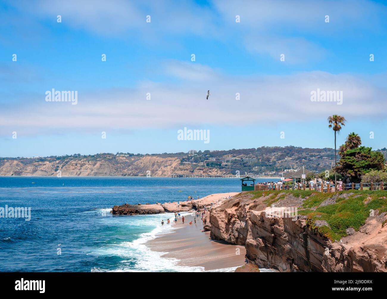 La Jolla, CA, USA - July 24 2015: View of La Jolla Cove, with visitors ...