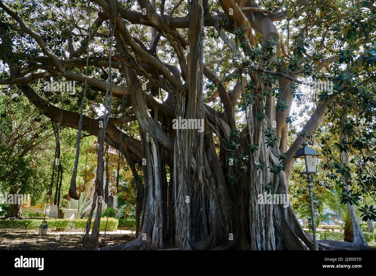 Mediterraneian hi-res stock photography and images - Alamy