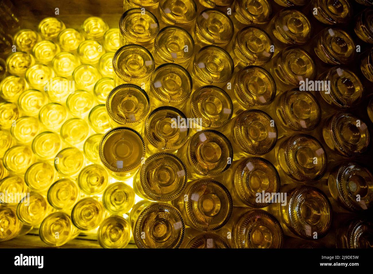 Sparkling white and rose wine production by traditional method in ...