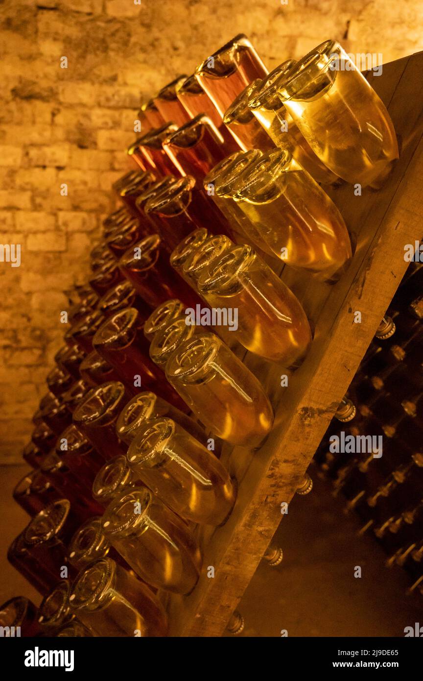 Sparkling dry rose wine production by traditional method in underground ...