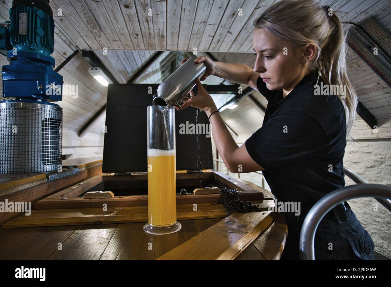 Female master distiller checks fermentation with cylinder in wooden ...
