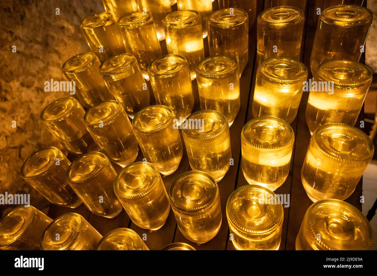 Sparkling white and rose wine production by traditional method in ...