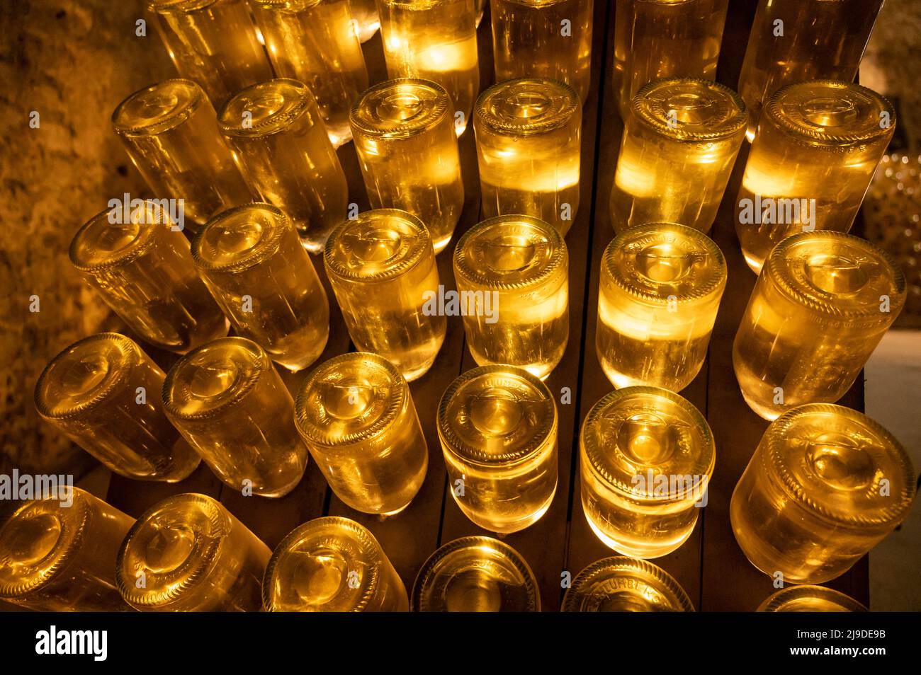 Sparkling white and rose wine production by traditional method in ...