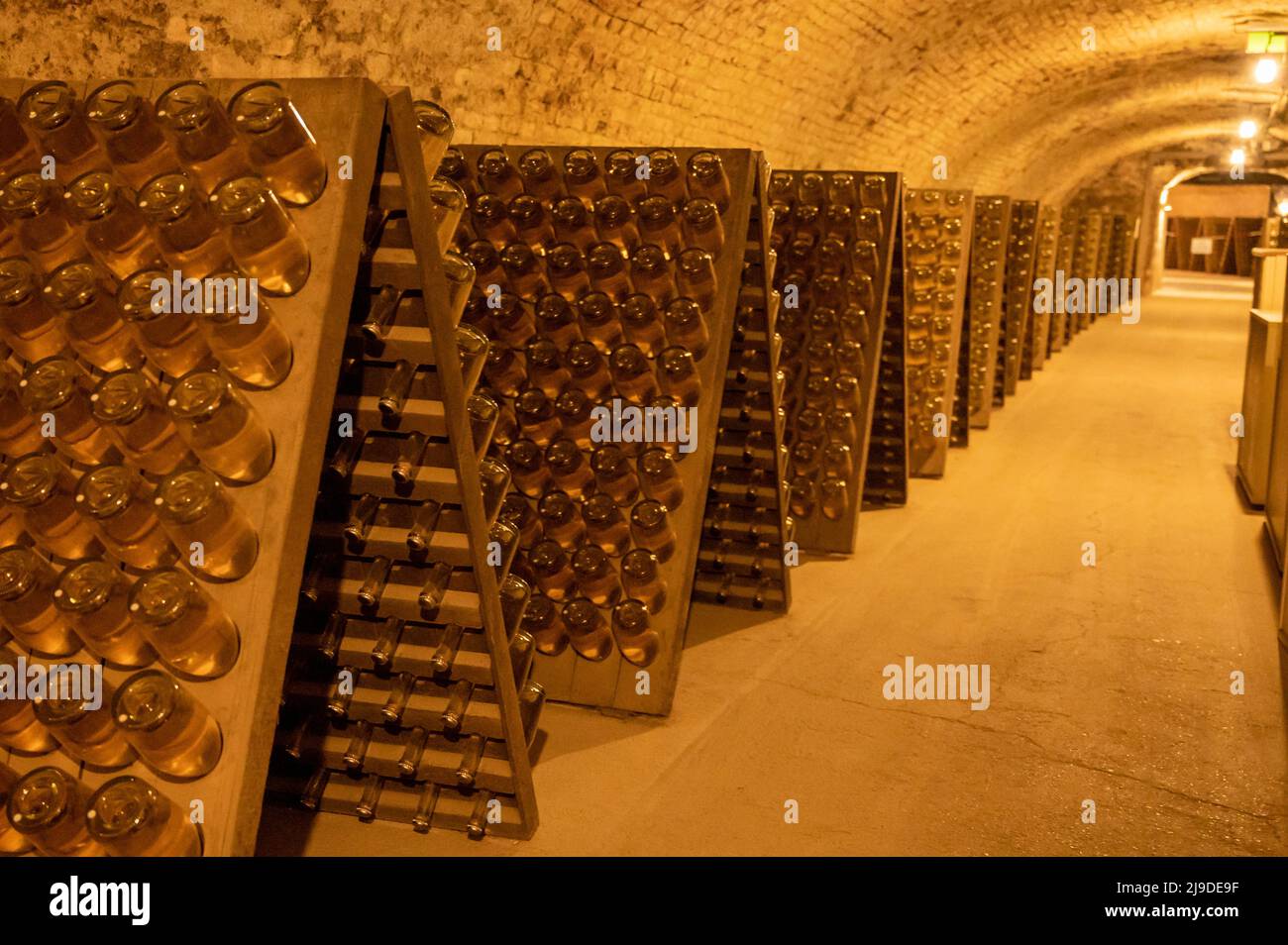 Sparkling dry white and rose wine production by traditional method in ...