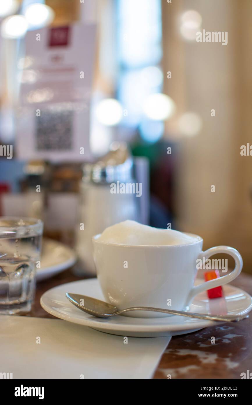 Lifestyle Of Vienna White Cup Of Hot Cappuccino Coffee With Cream Foam