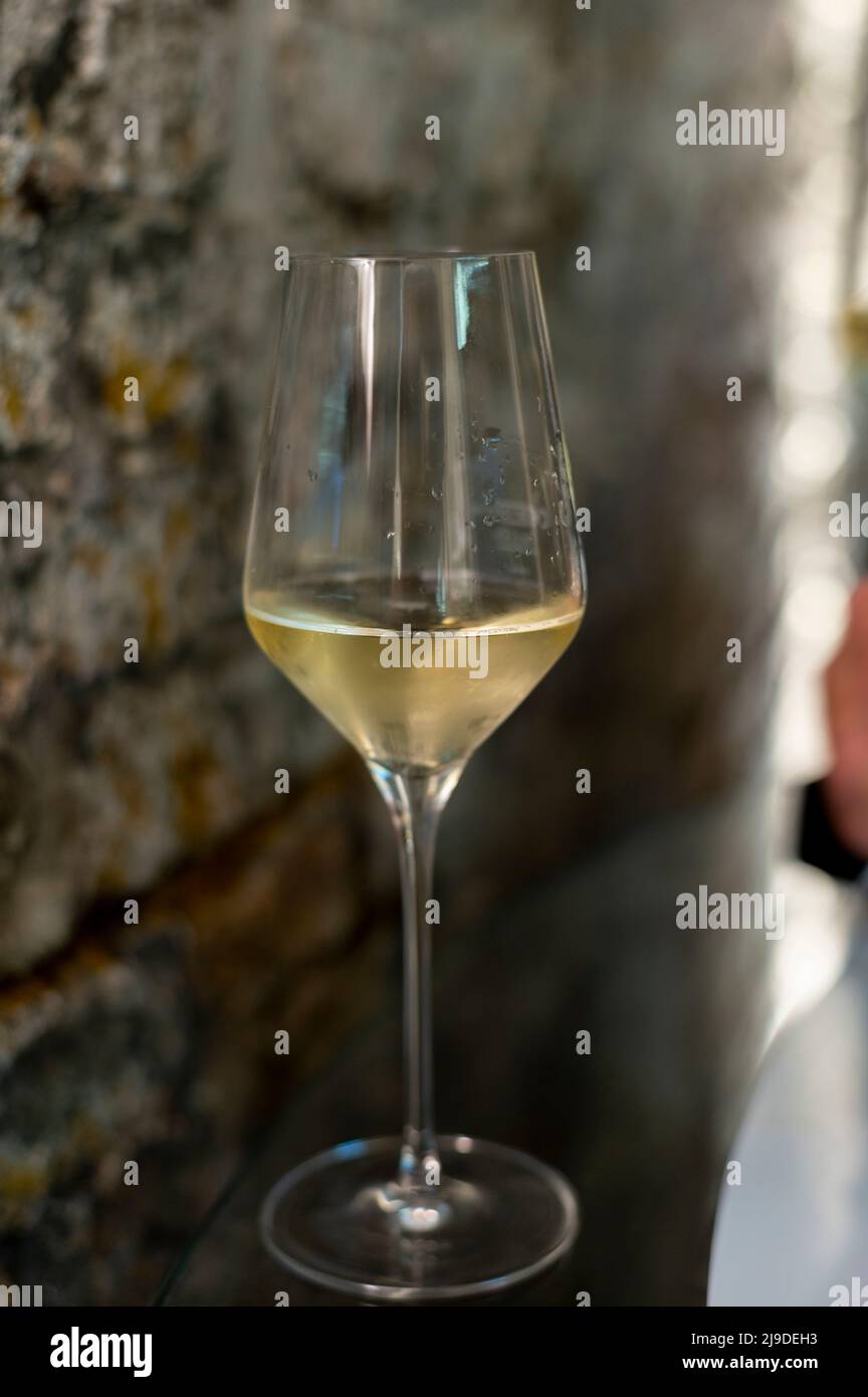 Tasting of brut champagne sparkling wine produced by traditional method ...