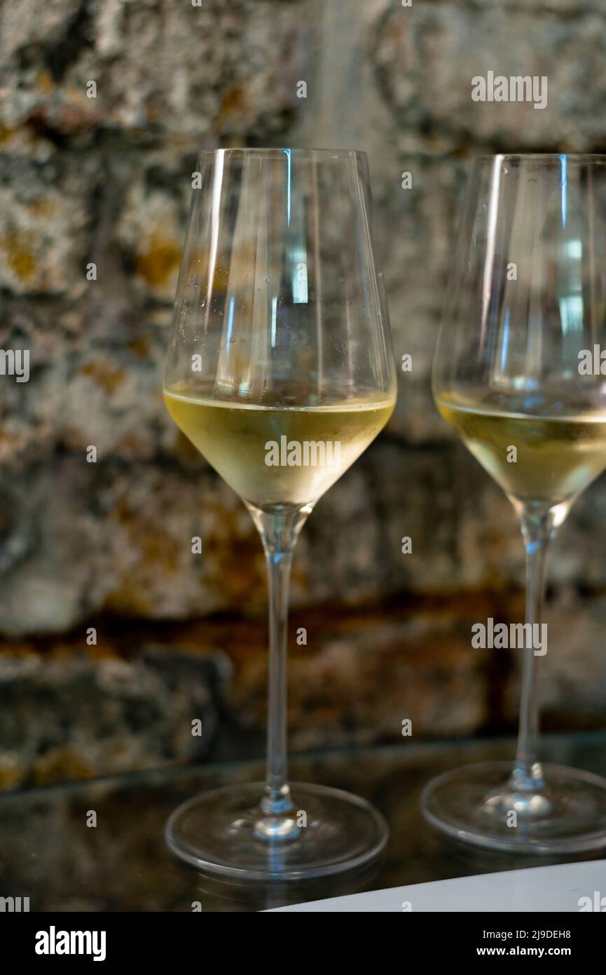 Tasting of brut champagne sparkling wine produced by traditional method in underground caves ...