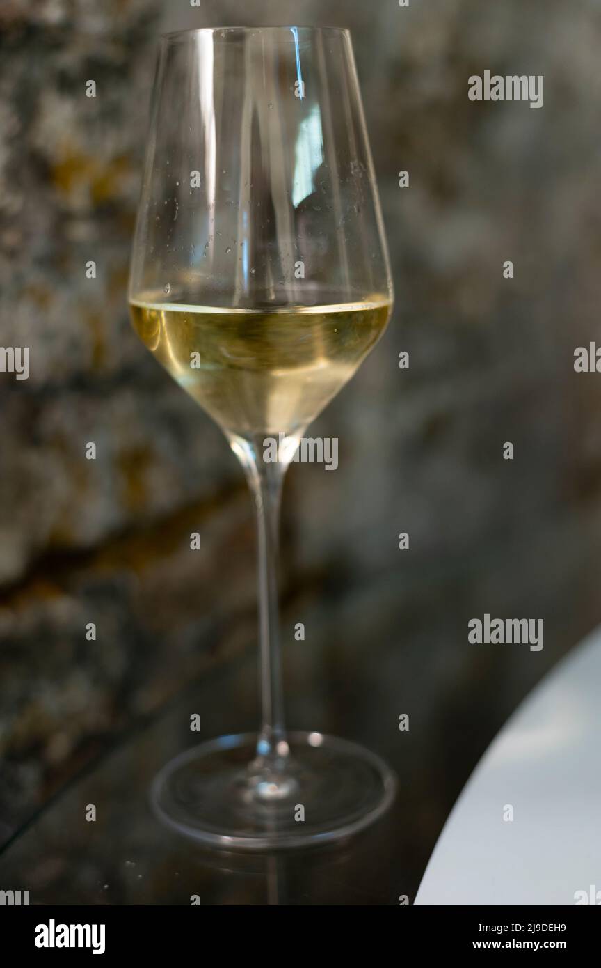Tasting of brut champagne sparkling wine produced by traditional method ...