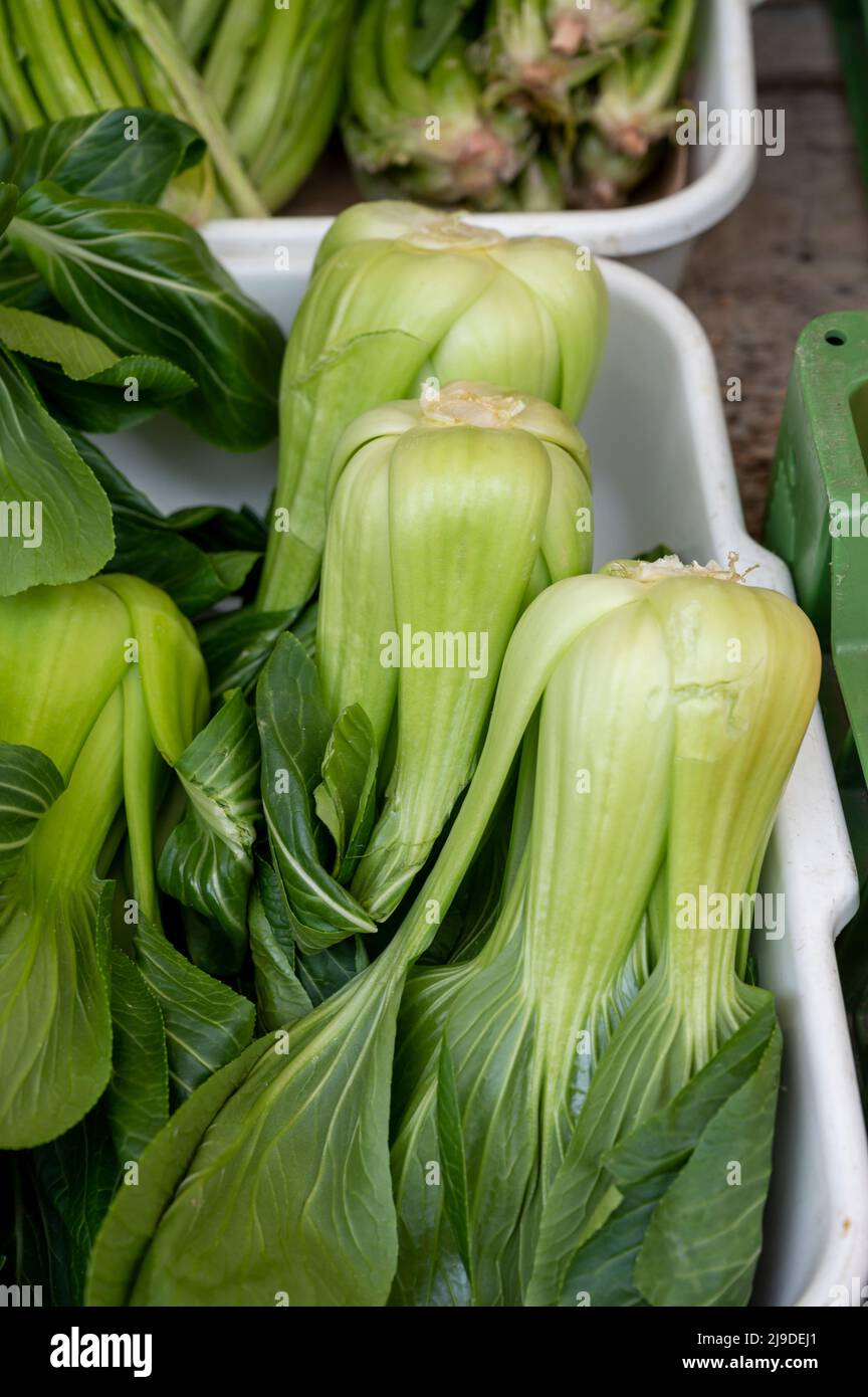 Fresh green chinese cabbage pak choi for sale on market close up Stock ...