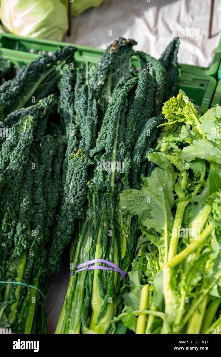 Bunch of dark green organic fresh cavolo nero black cabbage leaves on ...