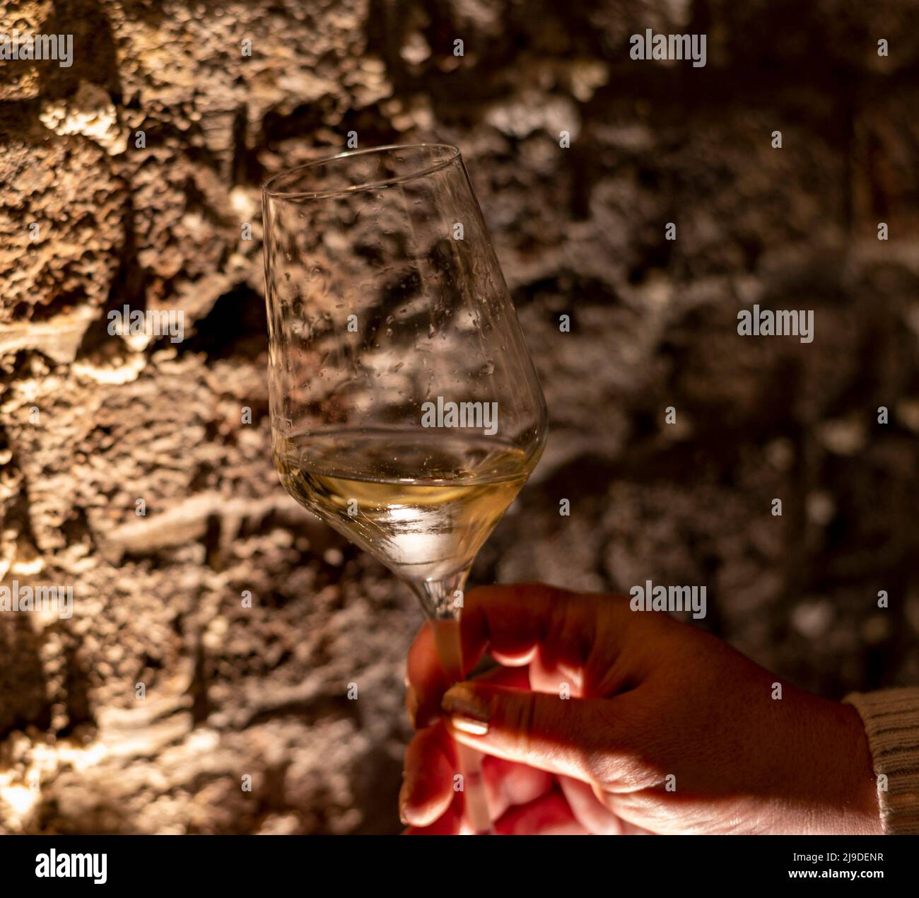 Tasting of brut champagne sparkling wine produced by traditional method in underground caves ...