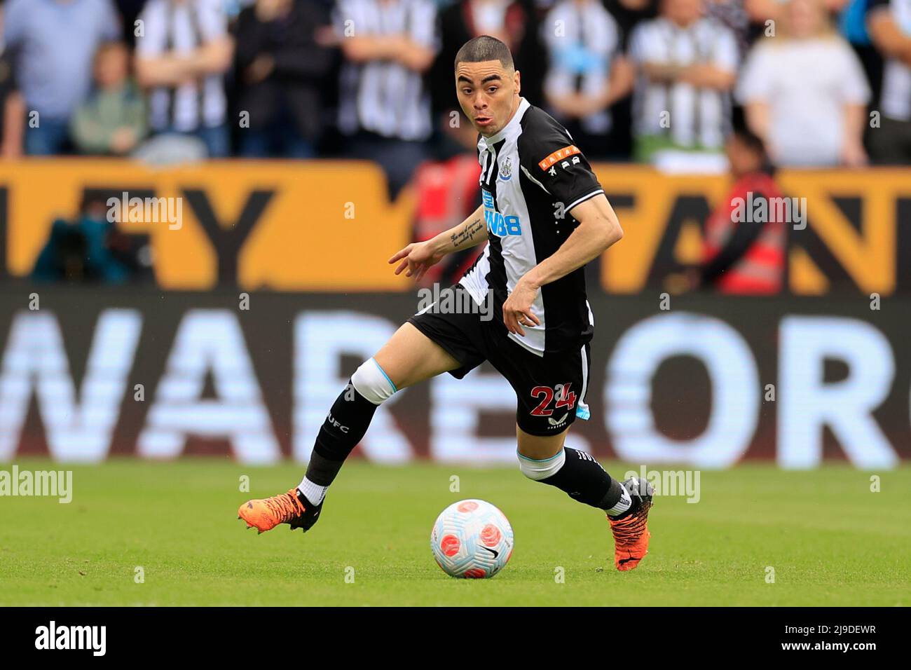 Miguel almiron soccer hi-res stock photography and images - Alamy