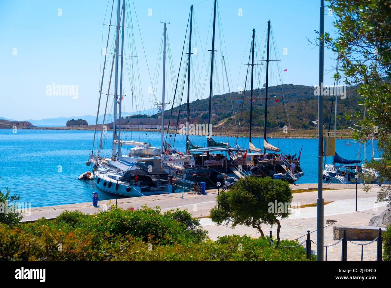 Datça Marina, concept idea of view through the woods of modern luxury ...