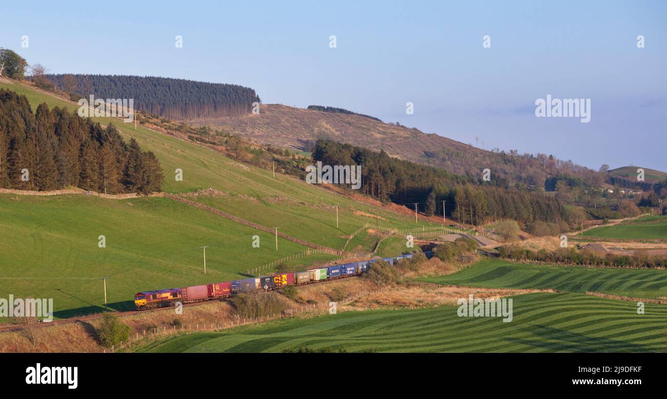 DB Cargo class 66 diesel locomotive 66164 hauling an intermodal ...