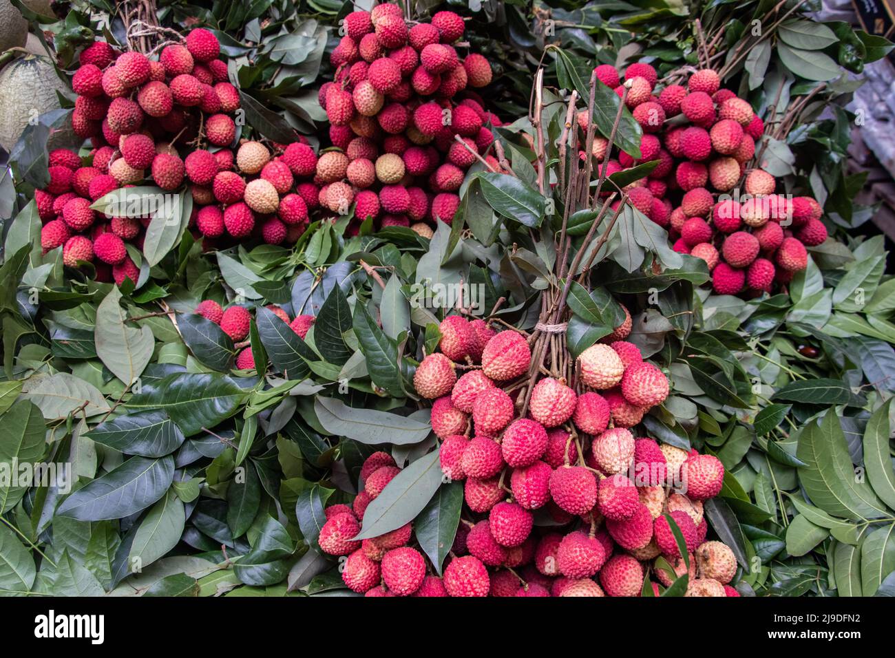 Lichi is a fruit that is very popular in Bangladesh. Vendors are ...